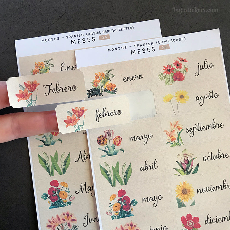 Names Of The Months In Spanish 11 Free Printable Spanish Worksheets